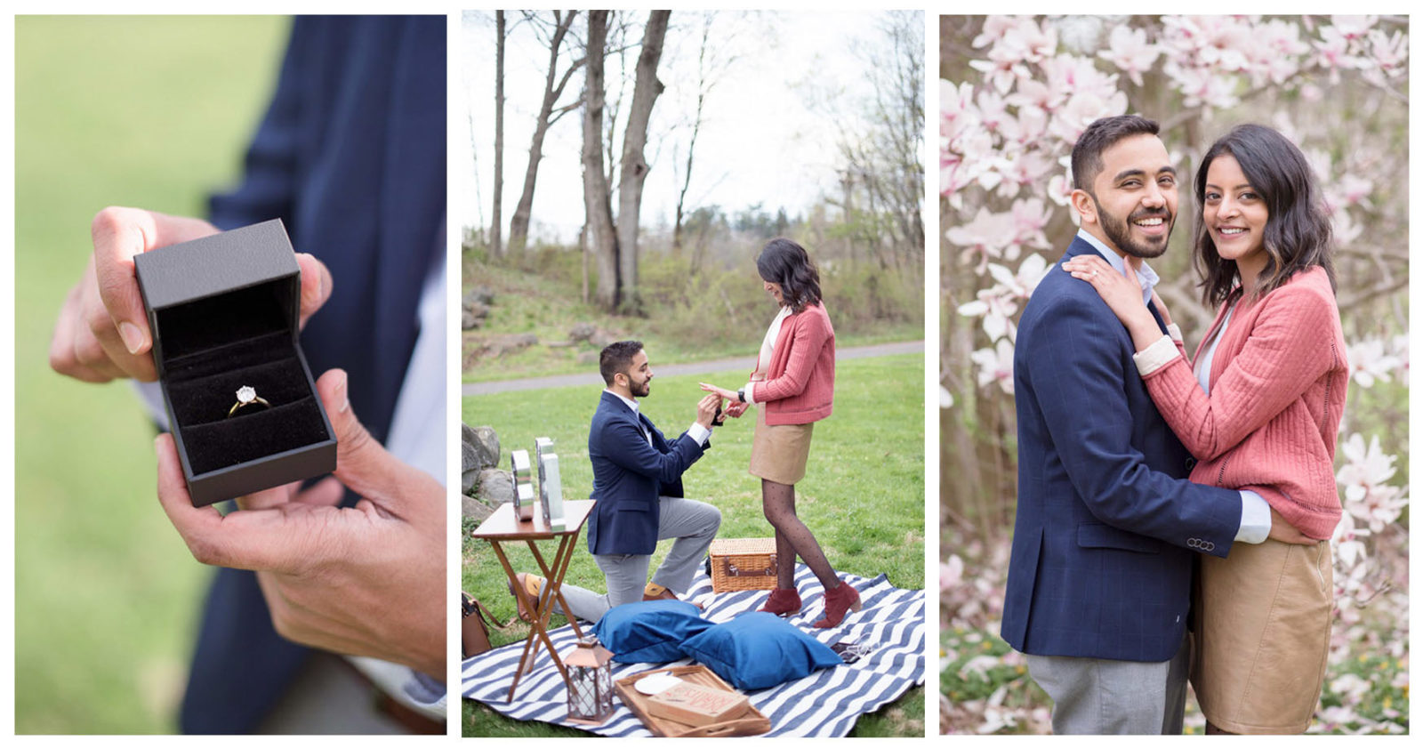 Surprise Picnic Proposal in North Jersey - Lin Pernille