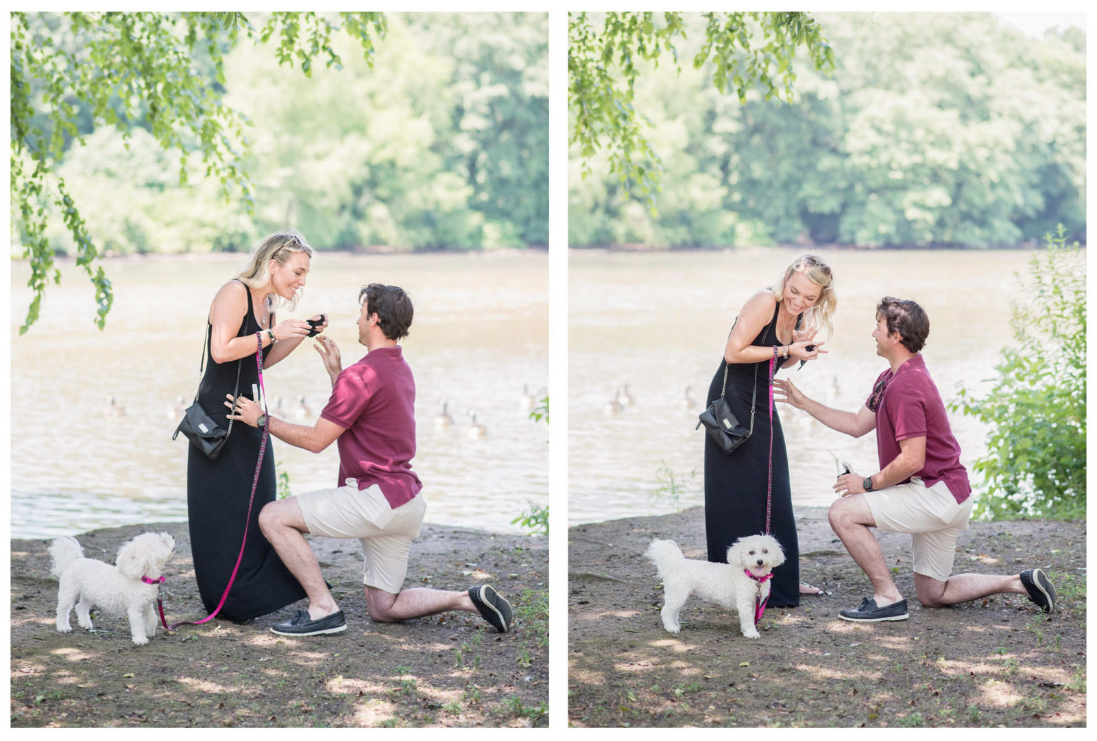 Surprise Dog Walking Proposal - Lin Pernille