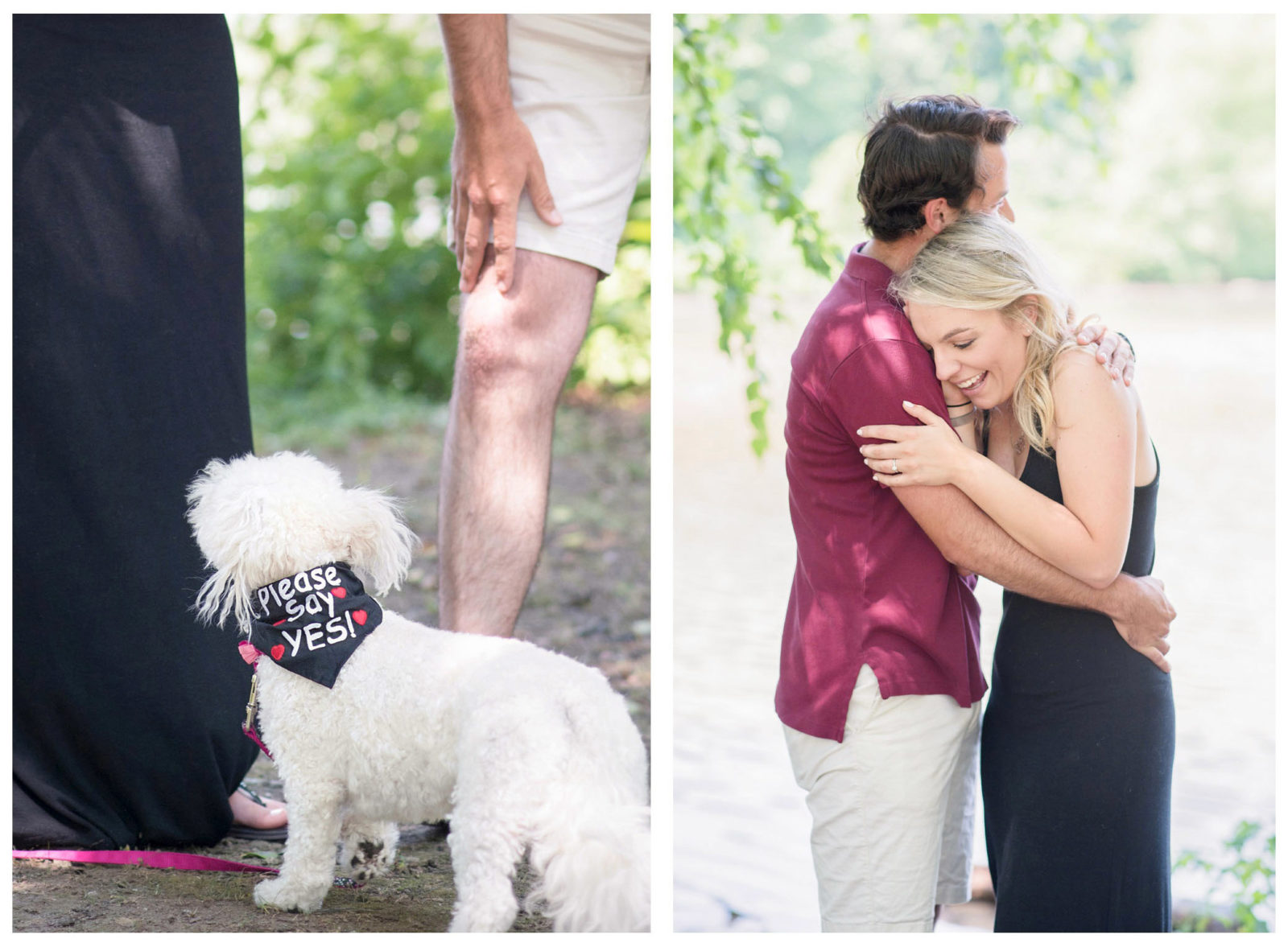 Surprise Dog Walking Proposal - Lin Pernille