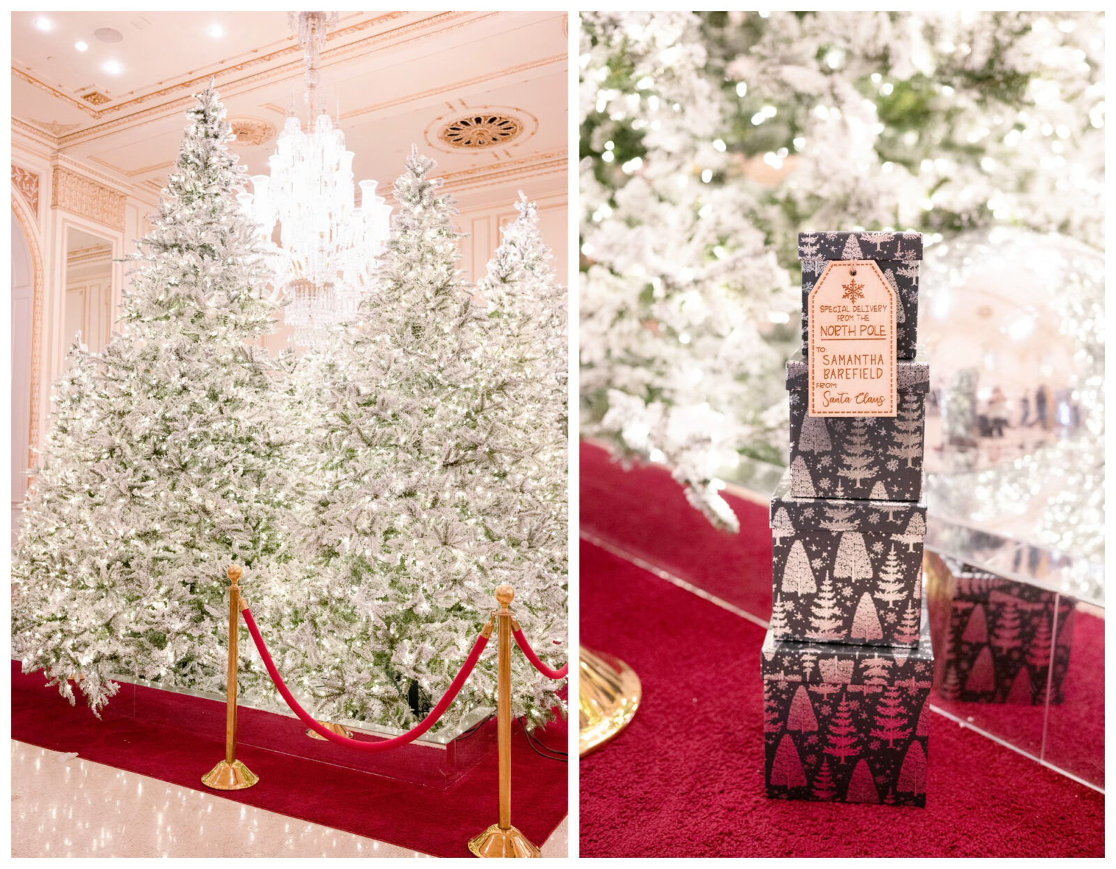 Christmas Tree Proposal at The Plaza in NYC - Lin Pernille
